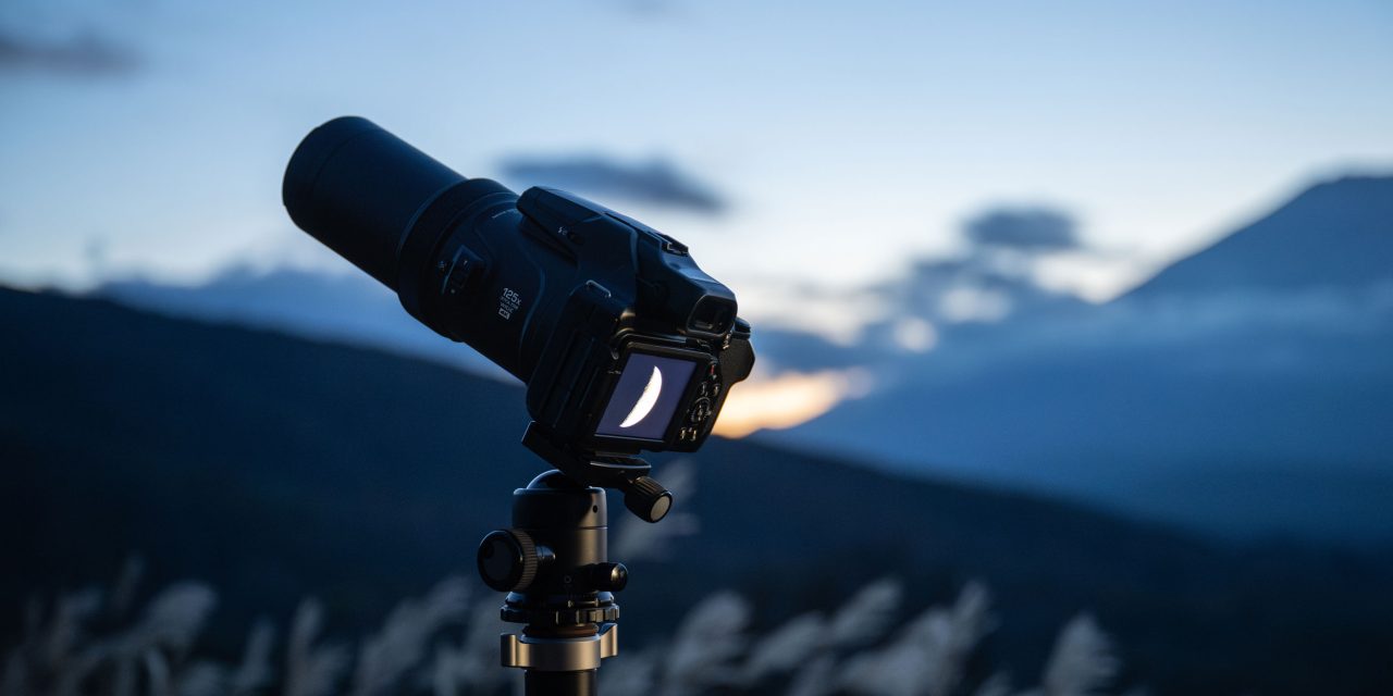 Nikon COOLPIX P1100: The Ultimate Bridge Camera for Wildlife Filming ...